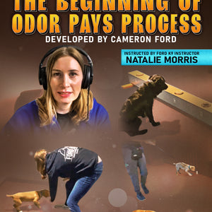 All | Sit Stay Learn