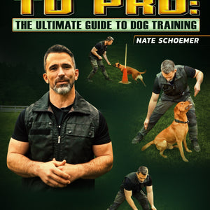 From Novice To Pro: The Ultimate Guide To Dog Training by Nate Schoeme ...