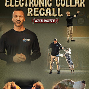 Mastering The Electronic Collar Recall by Nick White | Sit Stay Learn