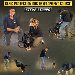 All | Sit Stay Learn